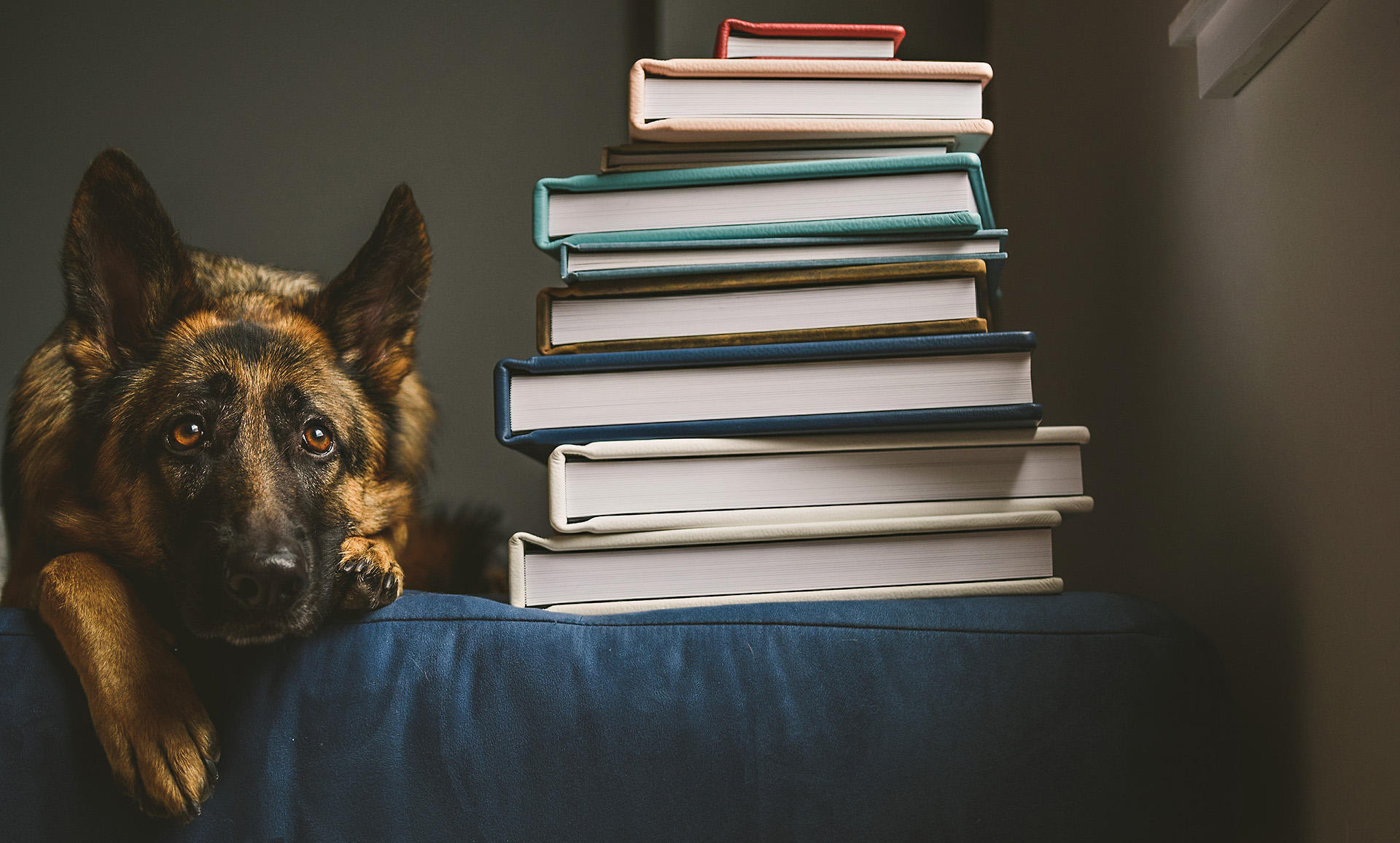 Pricing - Alex plus Betty